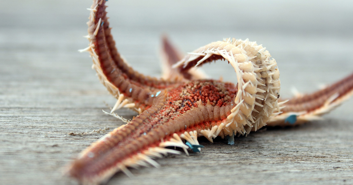 Merlijn advies Groep - Blog - Conflicten - Merlijn Groep